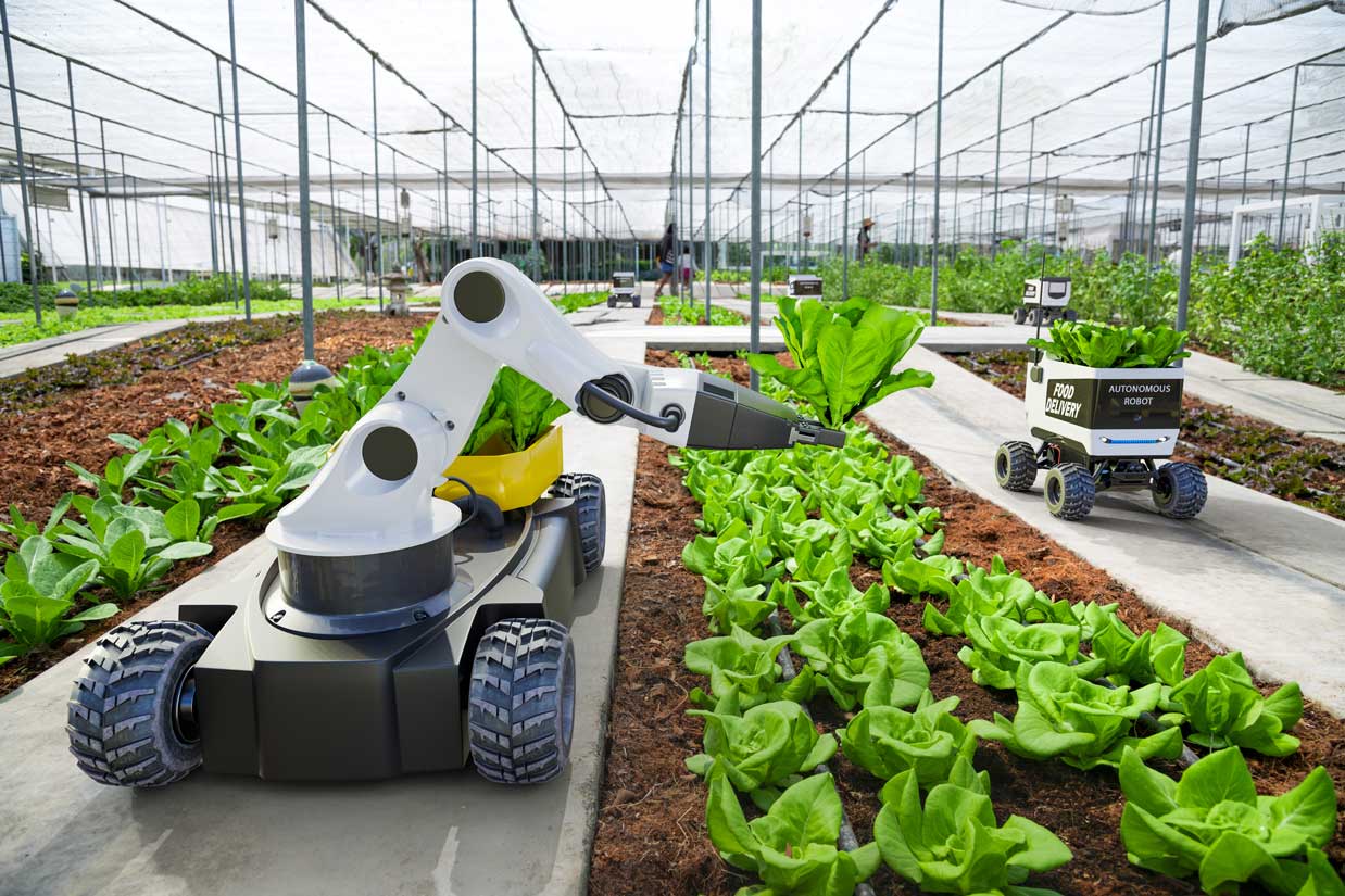 Turning Over a New Leaf: Digital Manufacturing in Agriculture